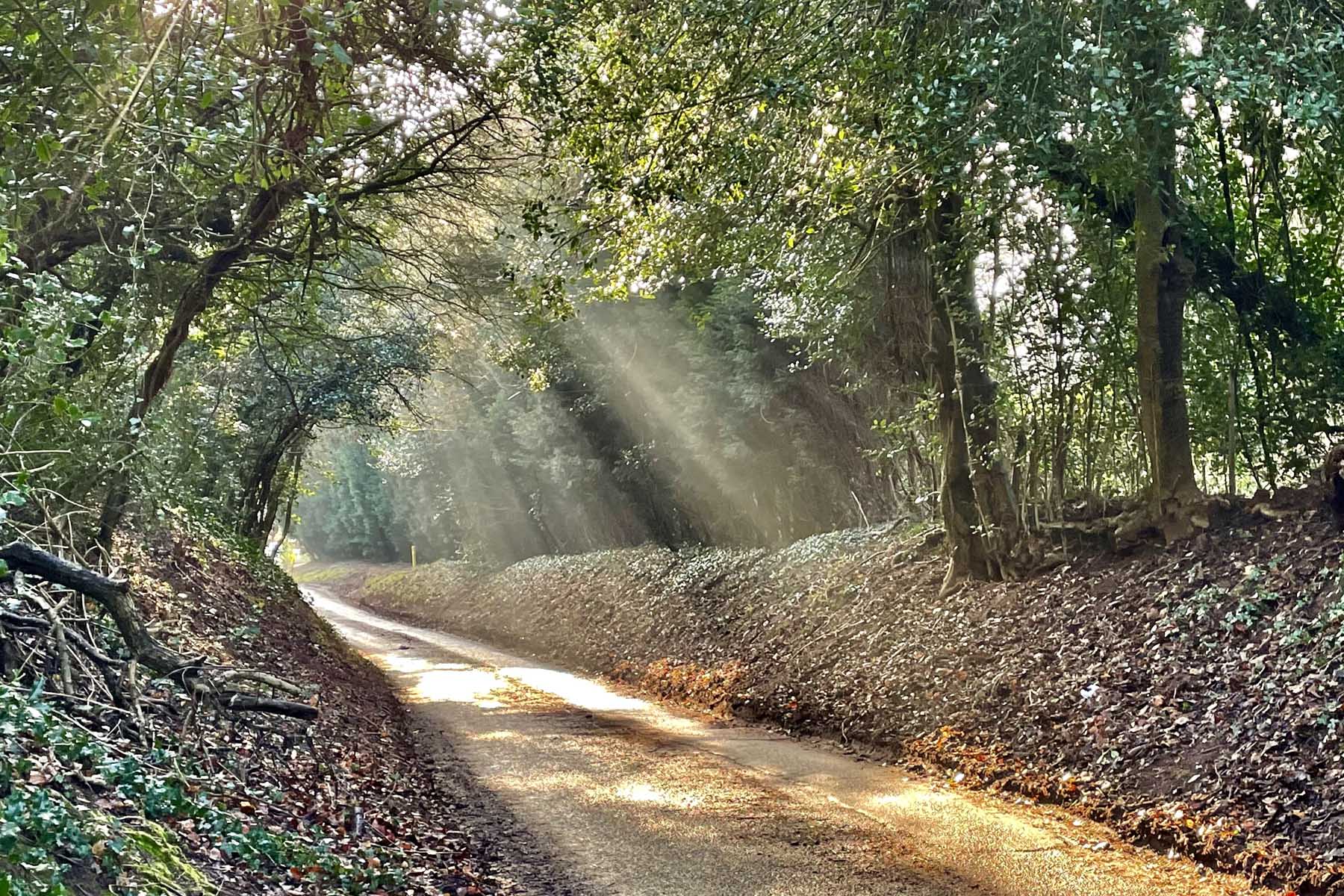 Visit Us – Breedon Priory Church